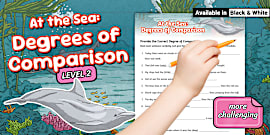 IP English-Sentence Function - Activity Sheet (CAPS Aligned)