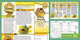 Honeybee Reading Comprehension (teacher made) - Twinkl