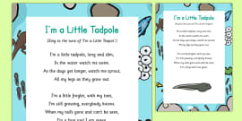 Frog Life Cycle Word Mat (Minibeasts) (teacher made)