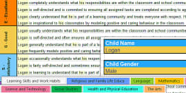 Report Comment Bank PDF | Report Writing | CfE | Twinkl