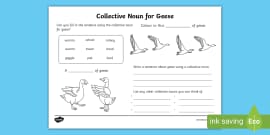 Collective Nouns Matching Worksheet (teacher made) - Twinkl