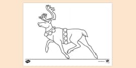 Reindeer Colouring Pages | Worksheets (teacher made)