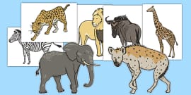 Zoo-Themed Cut-Outs (Hecho por educadores)