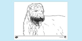 What is the story of Gelert the Dog? Teaching Wiki - Twinkl