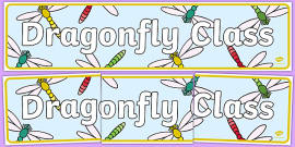 What is a Dragonfly? | Facts for Kids | Twinkl - Twinkl