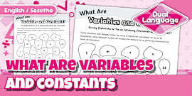 Introduction to Algebra – Variables and Constants