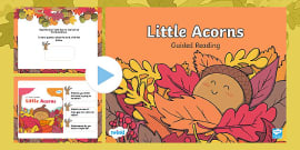 Little Acorns eBook - Oak Tree Life Cycle Story - Twinkl