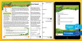 Fifth Grade Life Cycle of an Insect Fact File and Vocabulary Questions