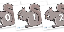 Numbers 0-31 on Red Squirrels (teacher made) - Twinkl