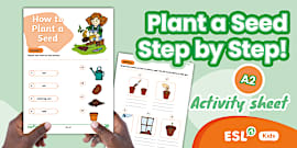 Plant a Seed Instructions