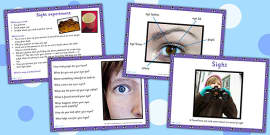 KS2 The Human Eye Labelling Activity (teacher made)