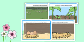 Spring Modelling Dough Mats | Twinkl (teacher made) - Twinkl