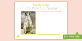 Describe the Meerkat Writing Worksheet,meerkats - Twinkl