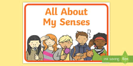 👉 The Five Senses Display Banner (teacher made)