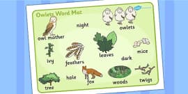 FREE! - Owl Babies Word Cards | Primary Resources | Twinkl