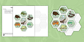 Reptiles Non-Chronological Report Template