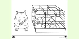 Hamster Food Pyramid - Display Poster - Pet - Twinkl Pets