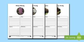 Ffeil Ffeithiau am Gymru (teacher made) - Twinkl