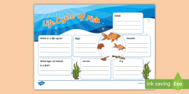 The Creation Story Fact File Template (teacher made)