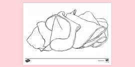 FREE! - Sliced Meat Colouring Sheet (teacher made)