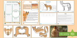 Amazing Australian Animal Fact Cards (Teacher-Made)Amazing Australian ...