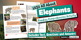 LKS2 All About Elephants Differentiated Reading Comprehension Activity Ages