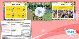 Science: Plants: Seeds and Bulbs Year 2 Lesson Pack 2