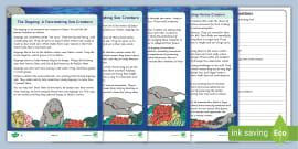 Whale Sharks of Qatar Differentiated Reading Comprehension