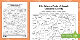 Parts of Speech Colouring In (Teacher-Made) - Twinkl