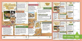 KS2 All About Tigers PowerPoint (teacher made) - Twinkl