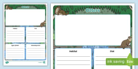 Badger Fact File Template,Badger fact file,badgers - Twinkl