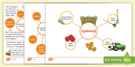 Map Meddwl Dysgraffia (teacher made) - Twinkl