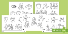 FREE! - Senses Page Borders (teacher made) - Twinkl