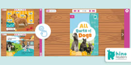 Level 4a Decodable Readers: Haircuts (Teacher-Made) - Twinkl