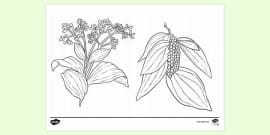 FREE! - Simple Blank Botanical Page Border for KS2 | Twinkl