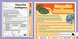 Multiple Intelligences Smarts Display Posters - Twinkl