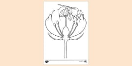 What is the stigma? - Answered - Twinkl Teaching Wiki