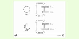 FREE! - Gas Mask Colouring | Colouring Sheets (Teacher-Made)