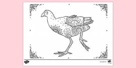 FREE! - Dog Mindfulness Colouring Page | Colouring - Twinkl