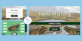 Parts of a Pig Interactive Labelling Activity (Teacher-Made)