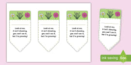 Types of Plants Name Labels (teacher made) - Twinkl