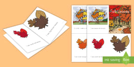 Flag Day Emergent Reader