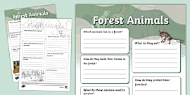 Animal Fact File Template Worksheets (teacher made) - Twinkl