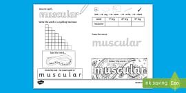 How to Spell Rhythm Activity Sheet (teacher made) - Twinkl