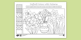 Daffodil Colour By Number Sheet