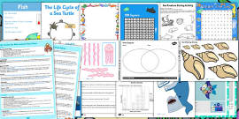 KS1 Under the Sea Lesson Plan Ideas and Resource Pack - under the sea