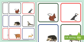 Bird-Themed Peg Labels (teacher made)