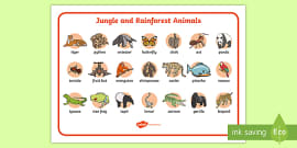 Zoo Word Mat | Primary Resources (teacher made)