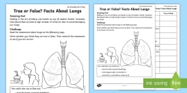 KS2 Heart Diagram QR Labelling Activity - Science - Twinkl