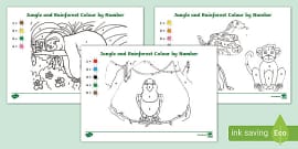Jungle & Rainforest Number Line (0-20) (Teacher-Made)